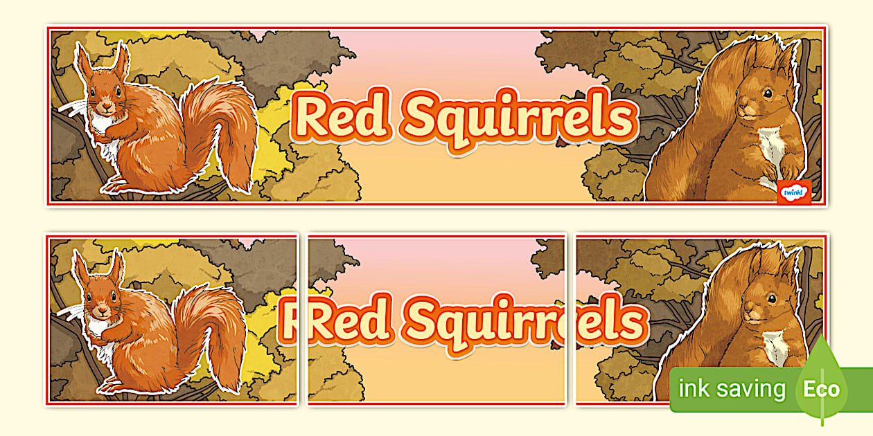 Red Squirrels Display Banner (teacher made) - Twinkl