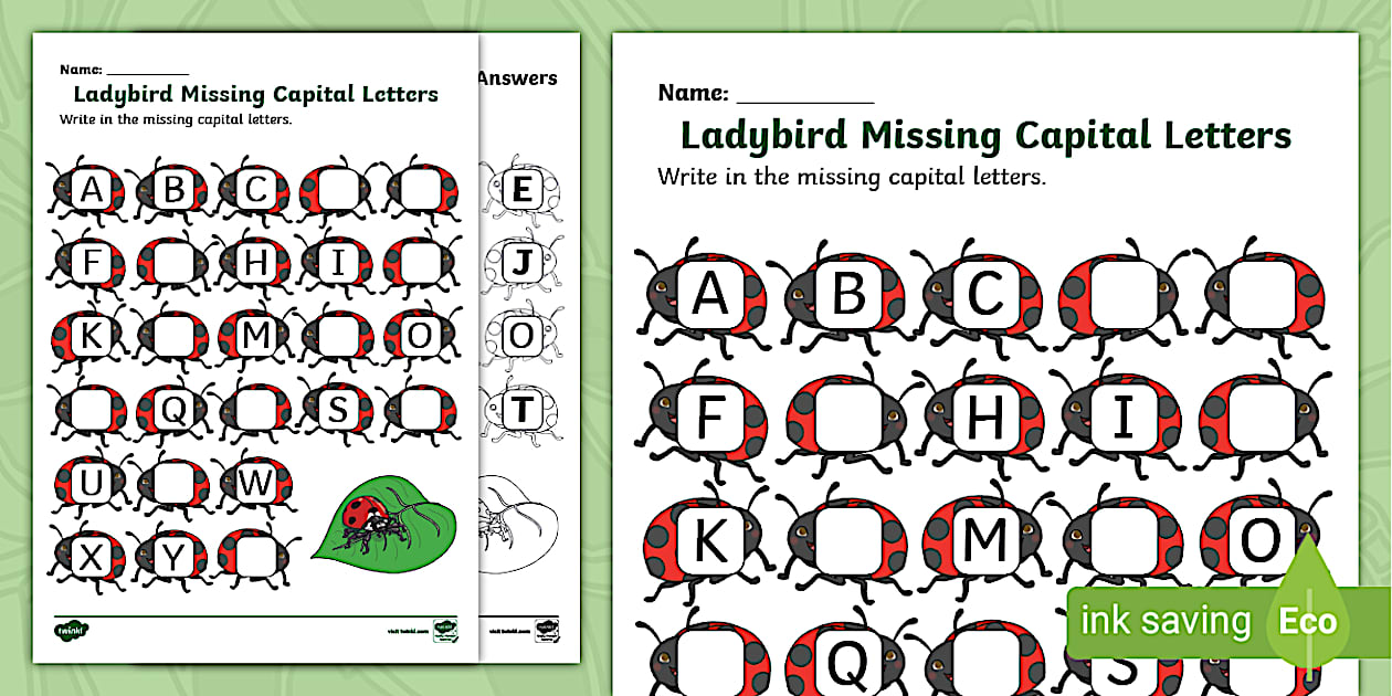 Ladybird Missing Capital Letters Worksheet | Twinkl | KS1
