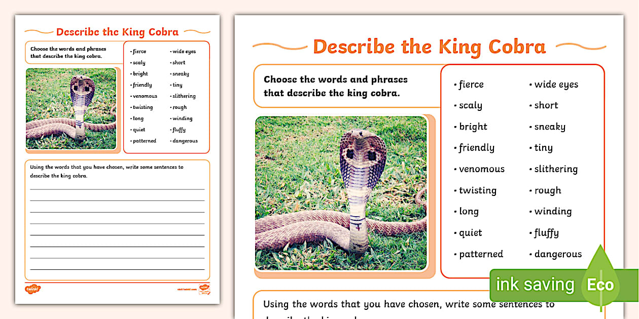 Describe the King Cobra Writing Activity, Snake, Cobra