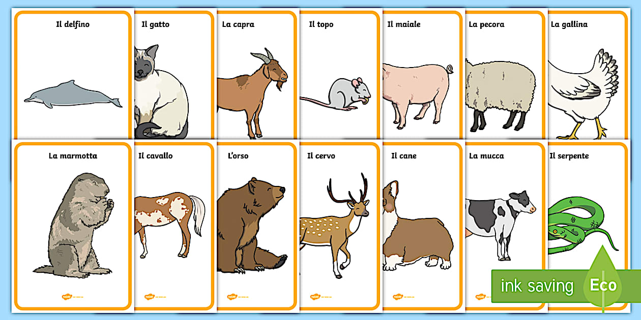 Display Posters for Animals in Italian - Primary Resource