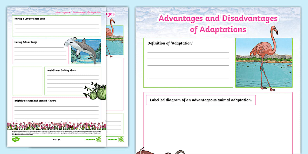 Advantages and Disadvantages of Adaptations Non-Chronological Report ...