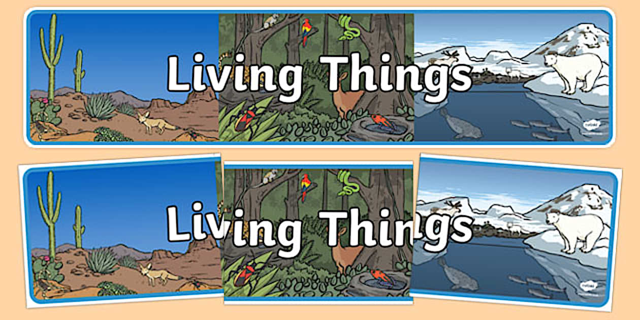 👉 Living Things Display Banner - Primary Resources
