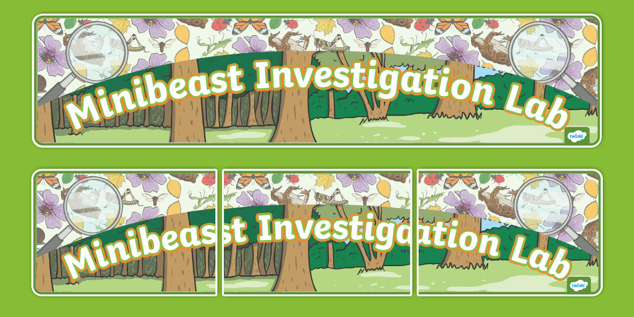 Minibeasts Investigation Lab Roleplay Display Banner - header