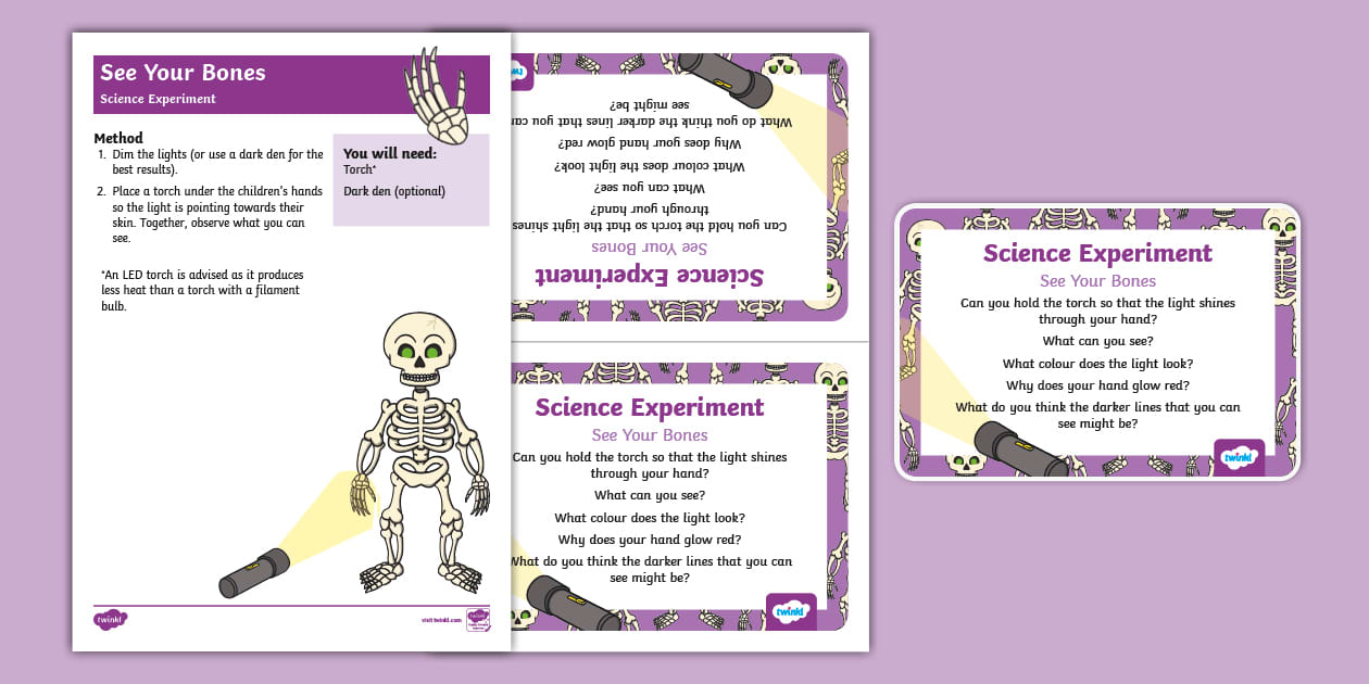 Kindergarten See Your Bones Science Experiment and Prompt Card Pack