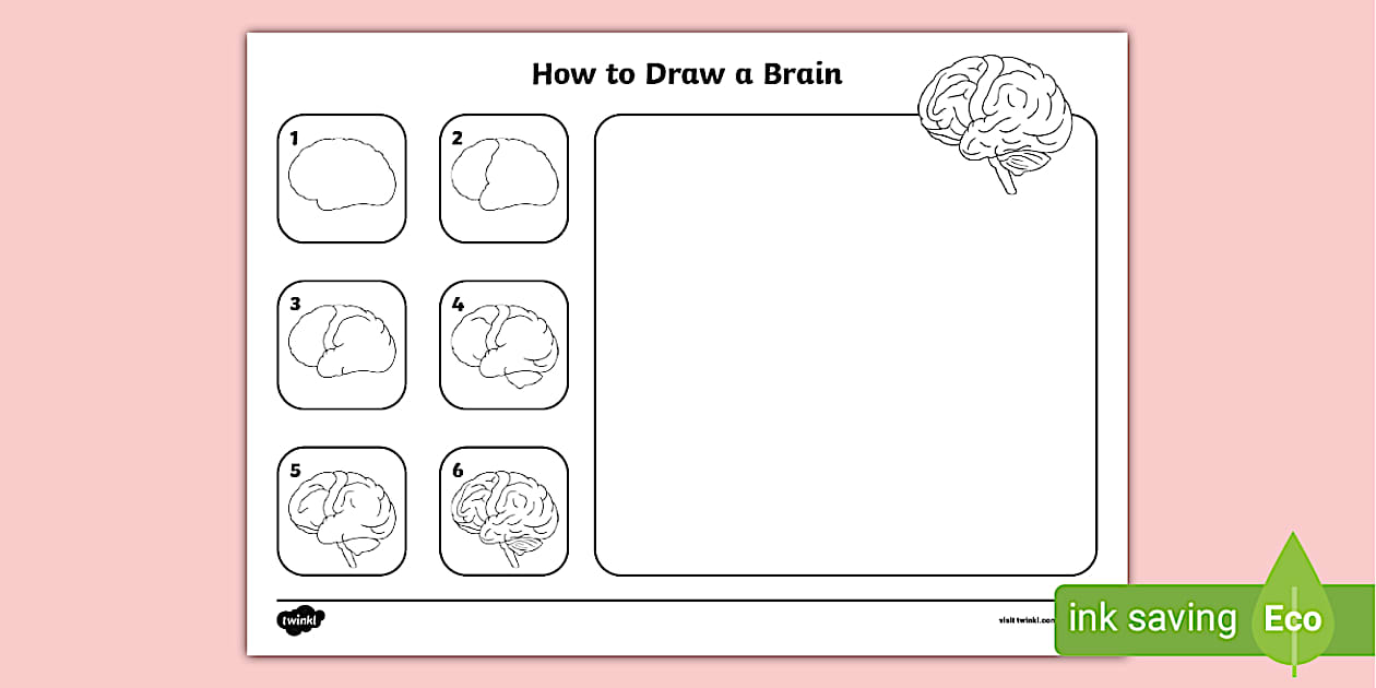 How to Draw a Brain Worksheet | Human Body | Twinkl | KS1
