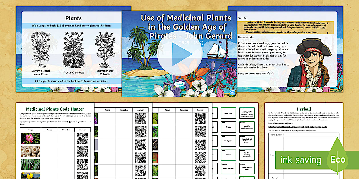 Medicinal Plants Activity Pack | Uses of Plants Lesson Plan