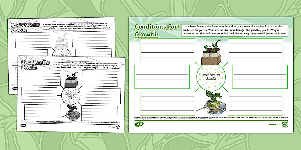 Conditions For Growth Mind Map - Twinkl