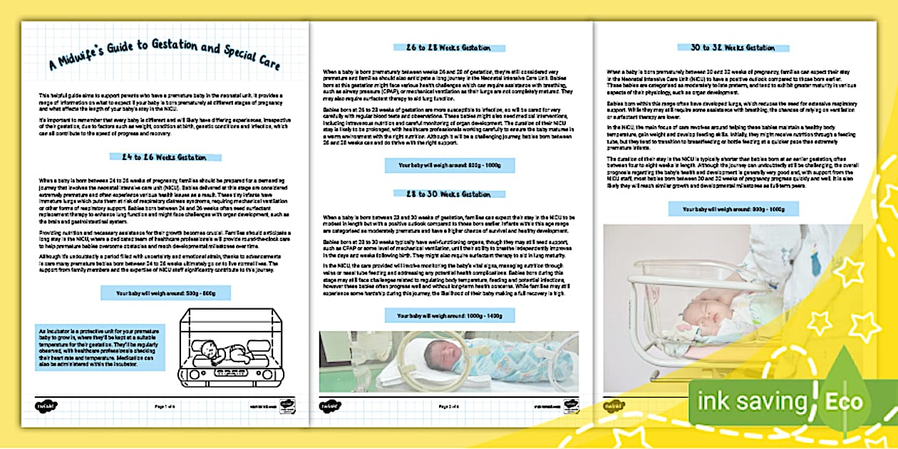 A Midwife's Guide to Gestation and Special Care - Twinkl