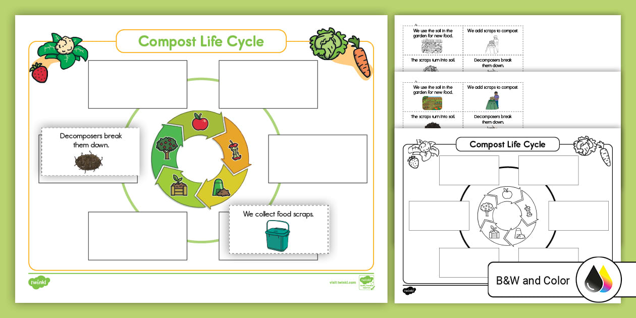 Compost Life Cycle Cut and Paste Worksheet (teacher made)
