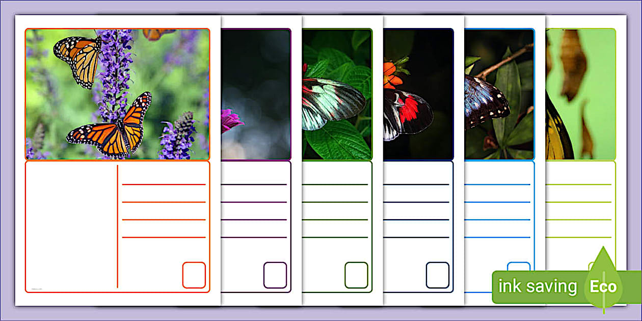 Butterfly Postcards (teacher made) - Twinkl