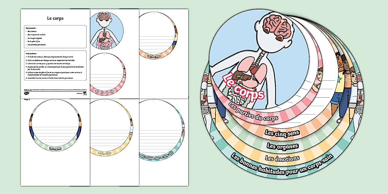 Livret rond : Le corps - Twinkl Sciences (teacher made)