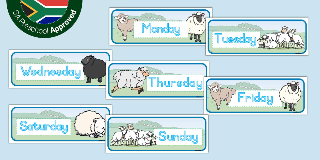 Sheep-Themed Days of the Week Cards - Twinkl