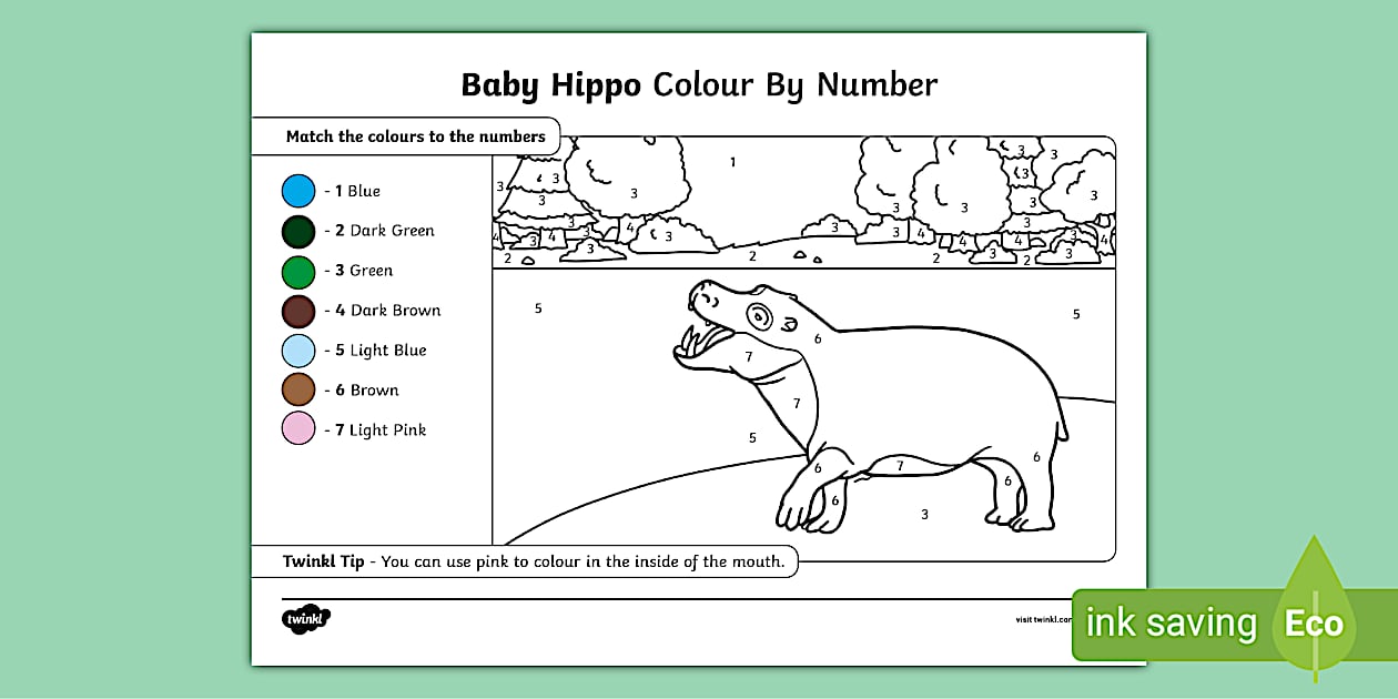 Baby Hippo Colour by Number (teacher made) - Twinkl
