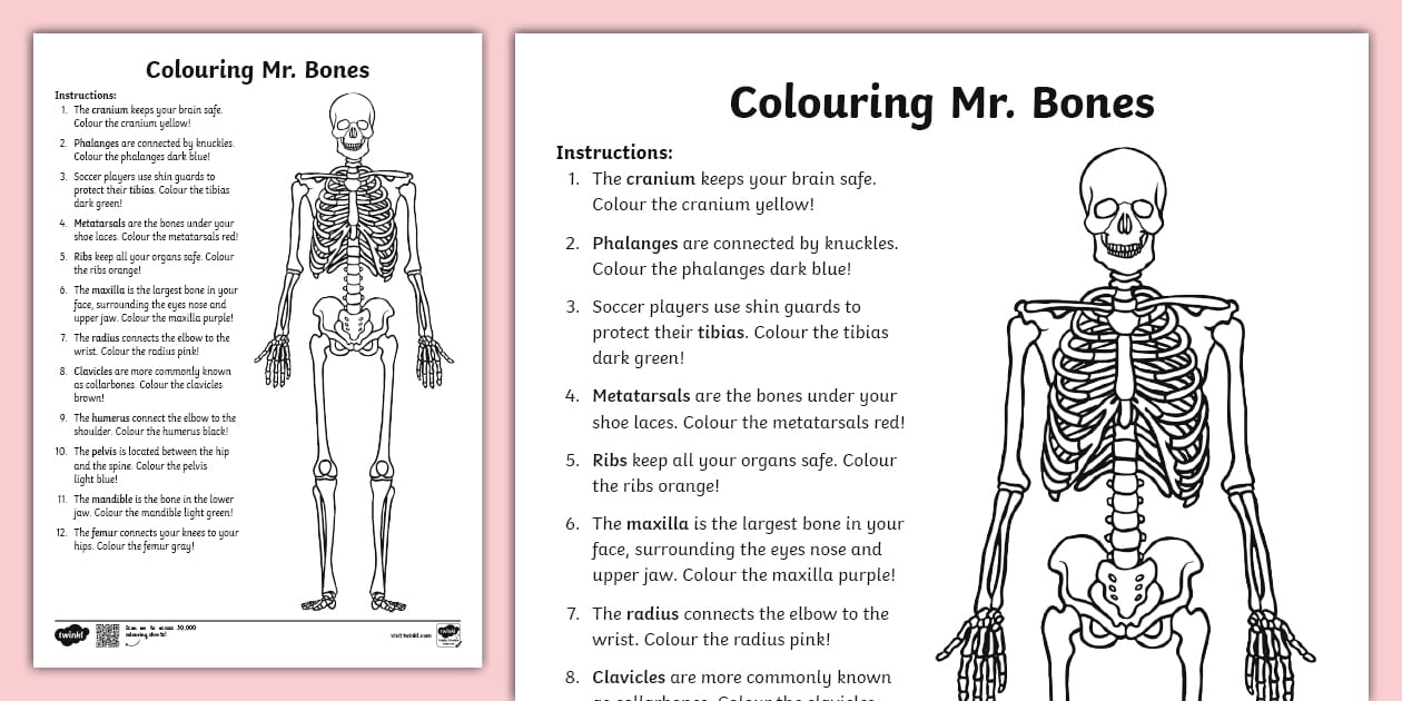 Colouring Mr. Bones Worksheet / Worksheet (teacher made)