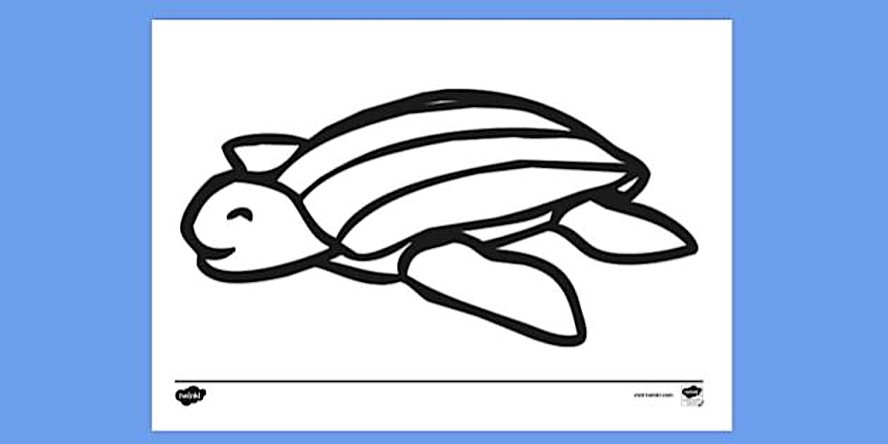 Cute Baby Turtle Colouring | Colouring Page