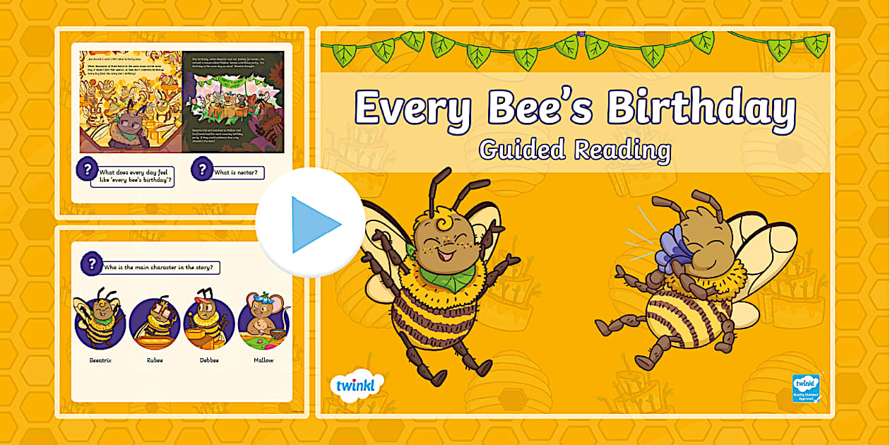 Every Bee's Birthday: KS1 Guided Reading Questions PowerPoint