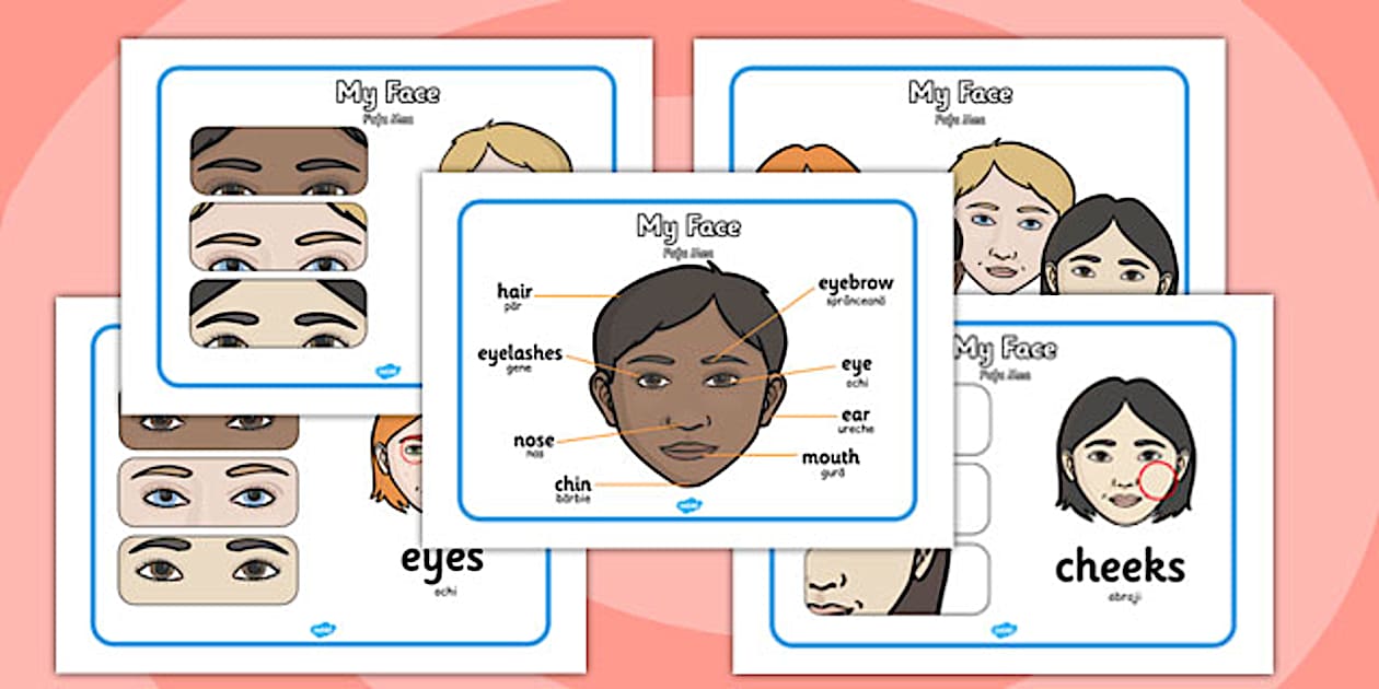 My Face Display Posters Romanian Translation (teacher made)