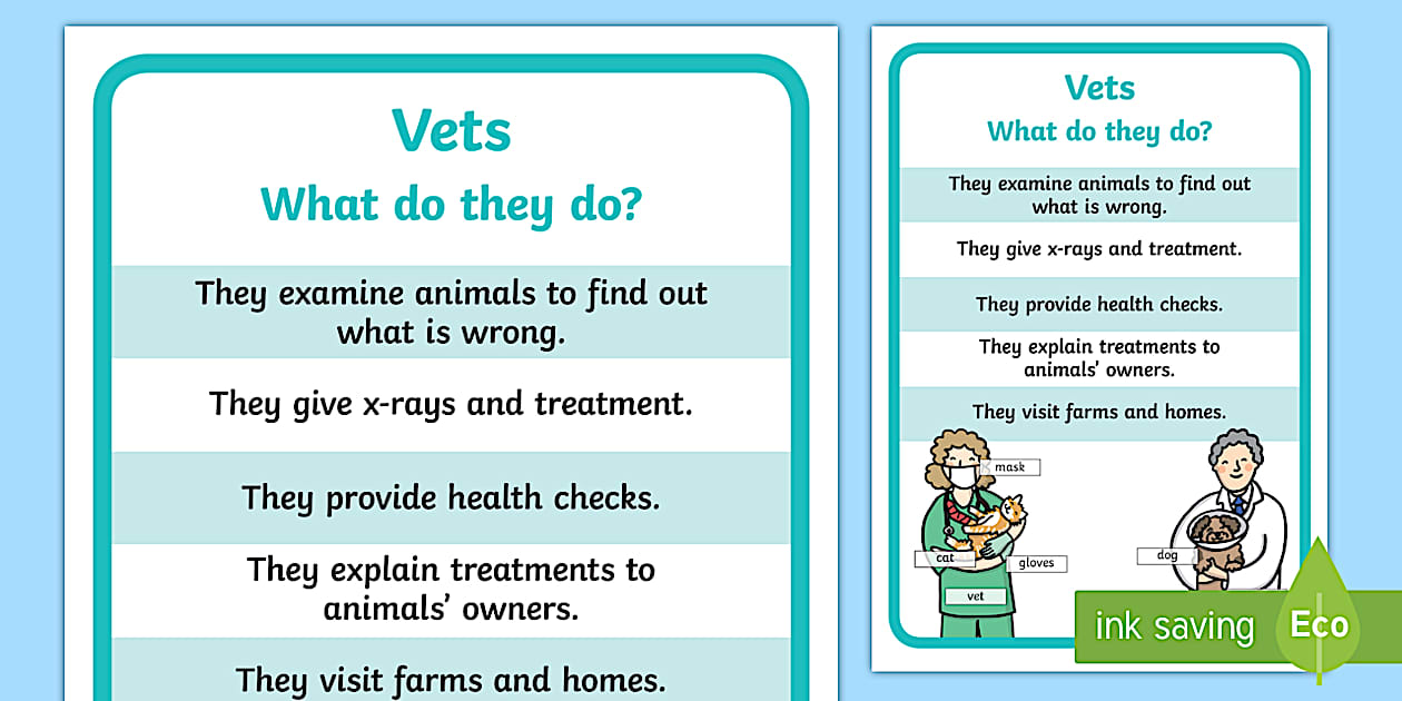 Vet Information Poster A4 Display Poster (teacher made)