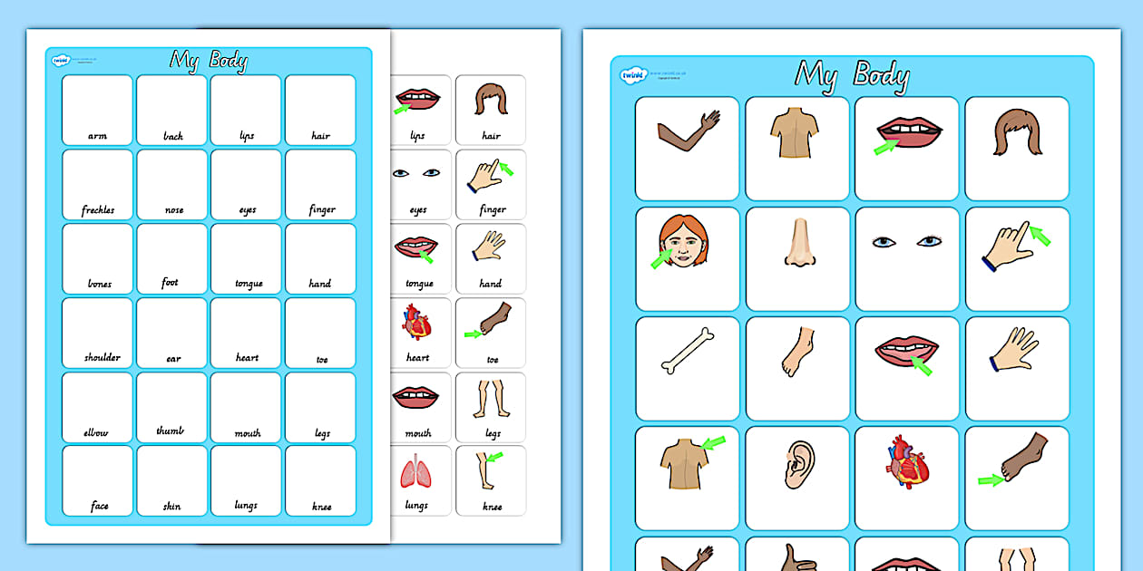 My Body Vocabulary Matching Mat (teacher made) - Twinkl
