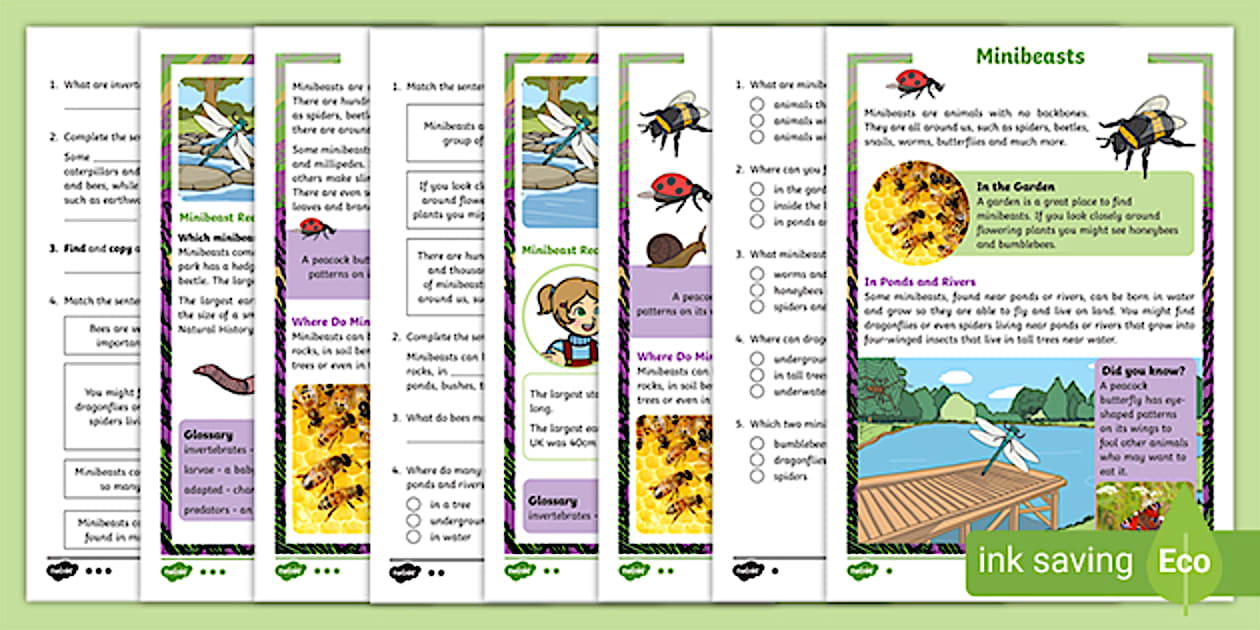 Editable Minibeasts Database Reading Comprehension Activity