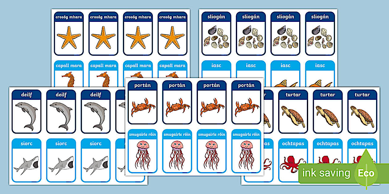 Ainmhithe Faoin Fharriage Cartaí Meaitseála (Teacher-Made)