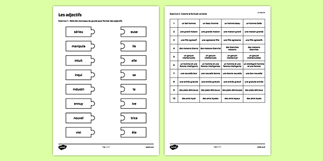 Les adjectifs Exercices (teacher made) - Twinkl