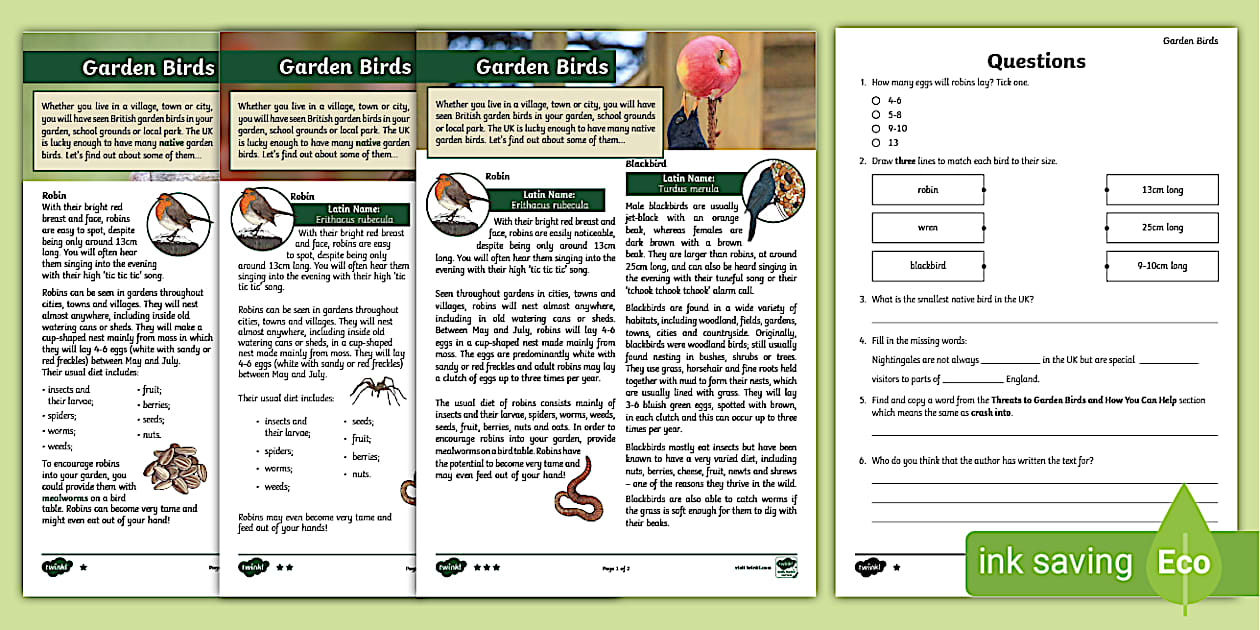 KS2 All about Garden Birds Differentiated Reading Comprehension Activity