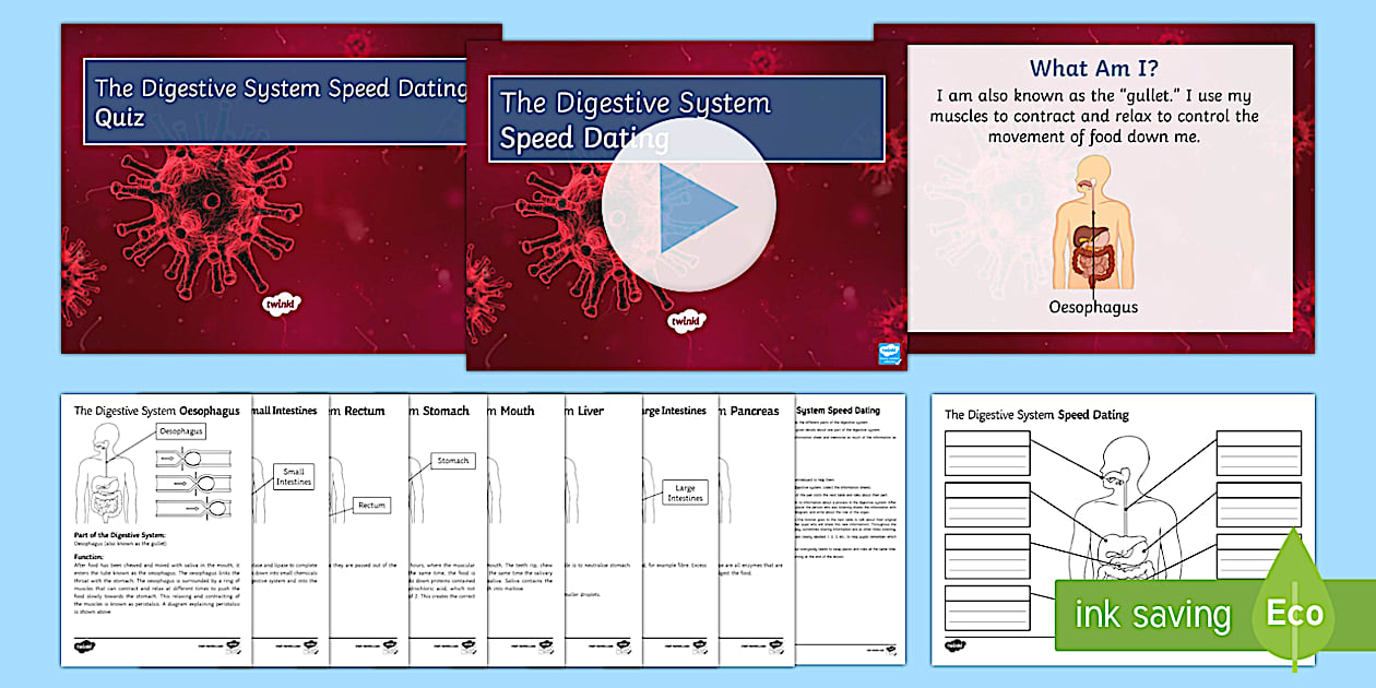 The Digestive System Game - Speed Dating (Teacher-Made)
