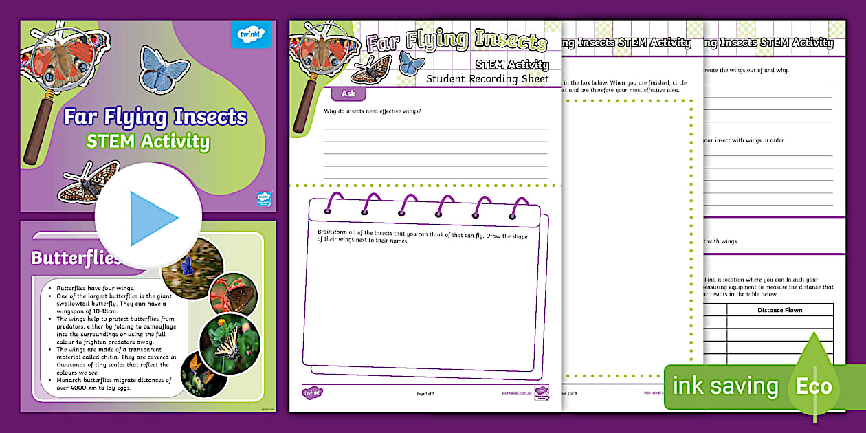 Far Flying Insects STEM Activity (teacher made) - Twinkl