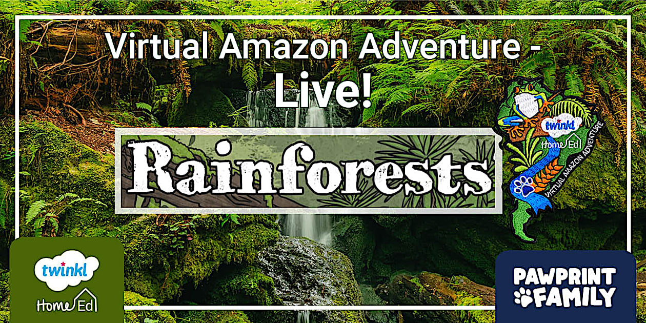 Amazon Animals | Twinkl Resources (teacher made) - Twinkl