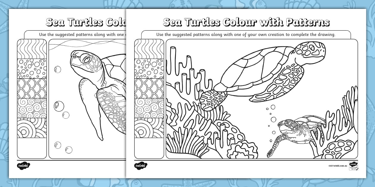 Sea Turtles Colour with Patterns Activity - Twinkl