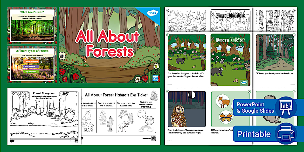Early Childhood All About Forest Habitats Lesson Pack