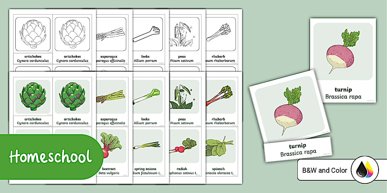 Spring Vegetables | Spring Season | Twinkl USA - Twinkl