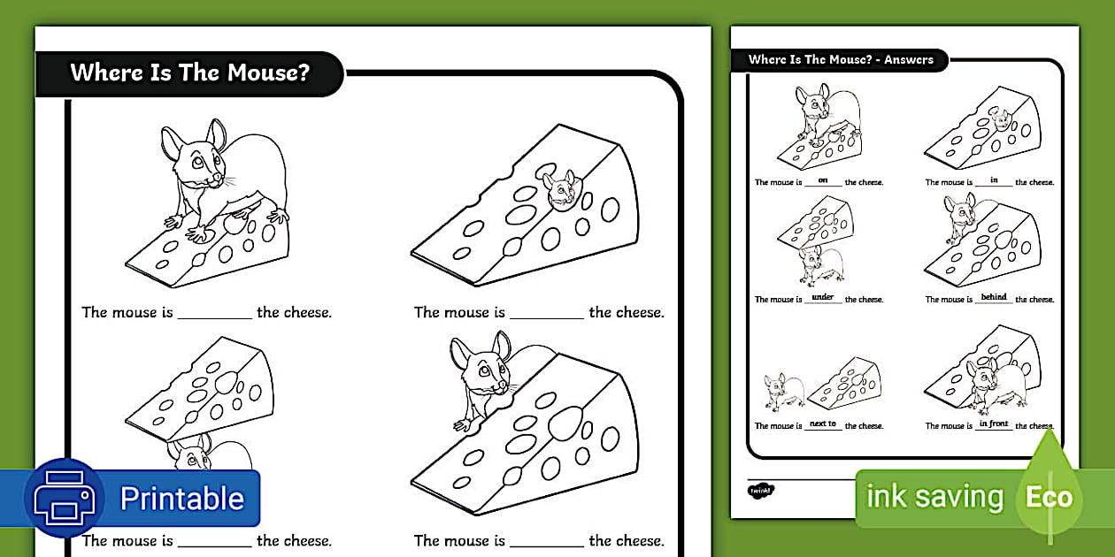 Grade 3 Mathematics: Where Is The Mouse? - Twinkl