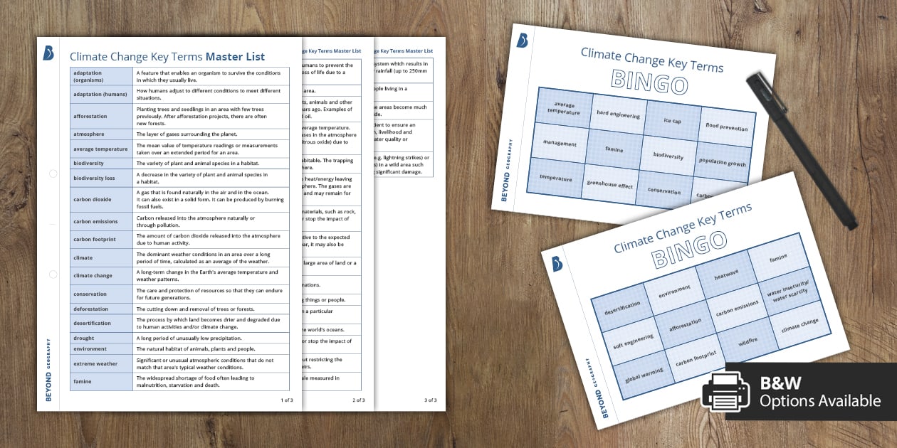 KS3 Climate Change Key Terms Bingo (teacher made) - Twinkl