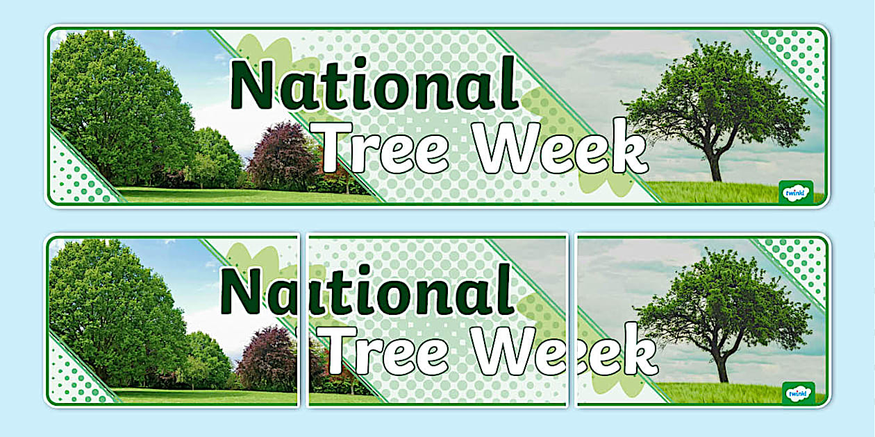 National Tree Week Display Banner (teacher made) - Twinkl