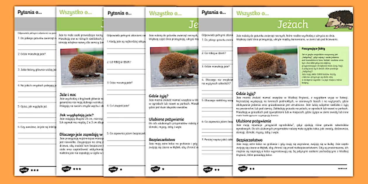 Czytanie ze zrozumieniem Wszystko o jeżach - Twinkl