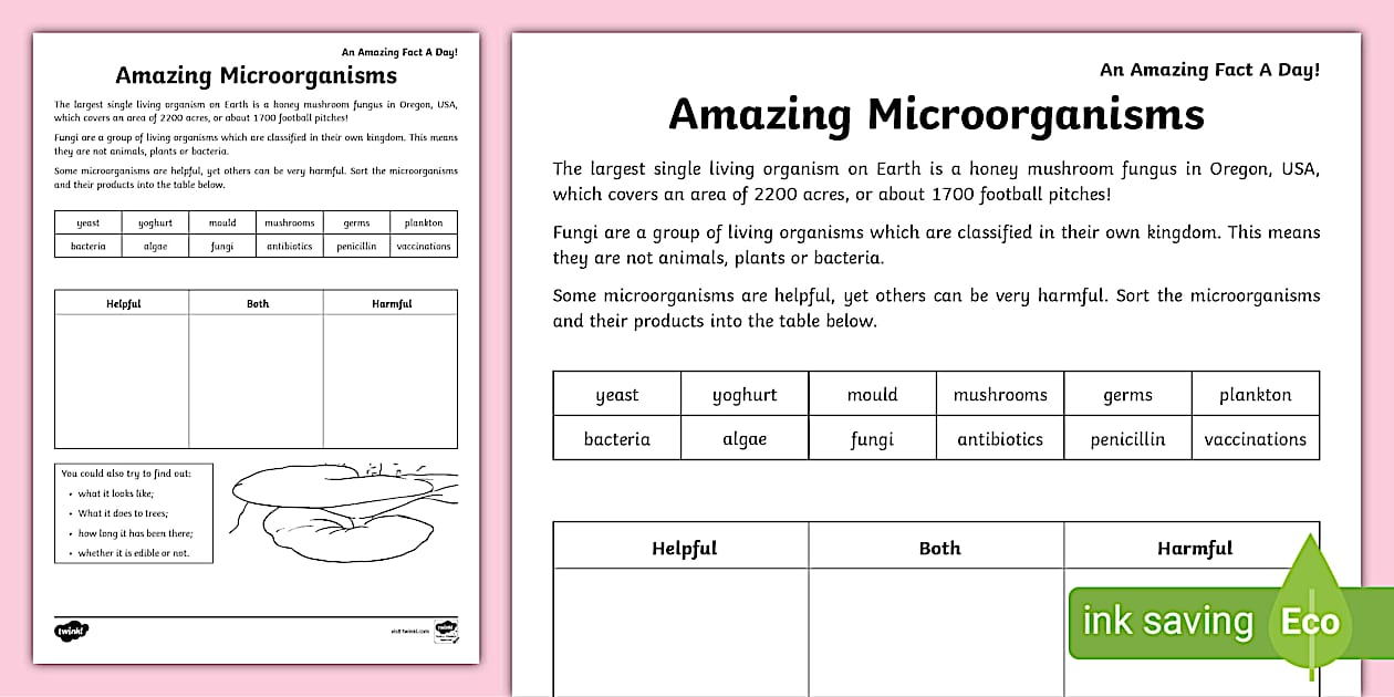 Amazing Microorganisms Worksheet - Science Resource - Twinkl