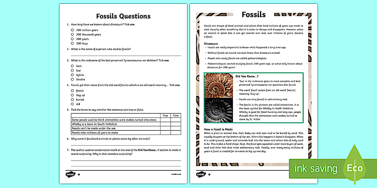 What Are Fossils? | KS2 Fossils Reading Comprehension