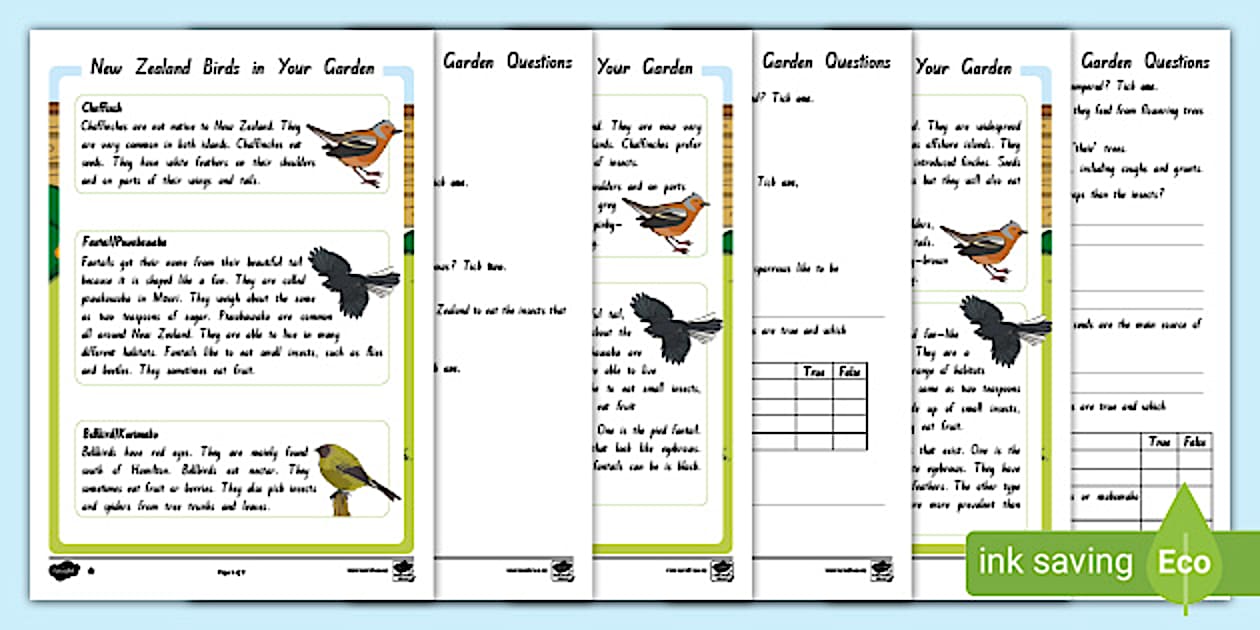 NZ Birds Reading in the Garden Comprehension | Twinkl