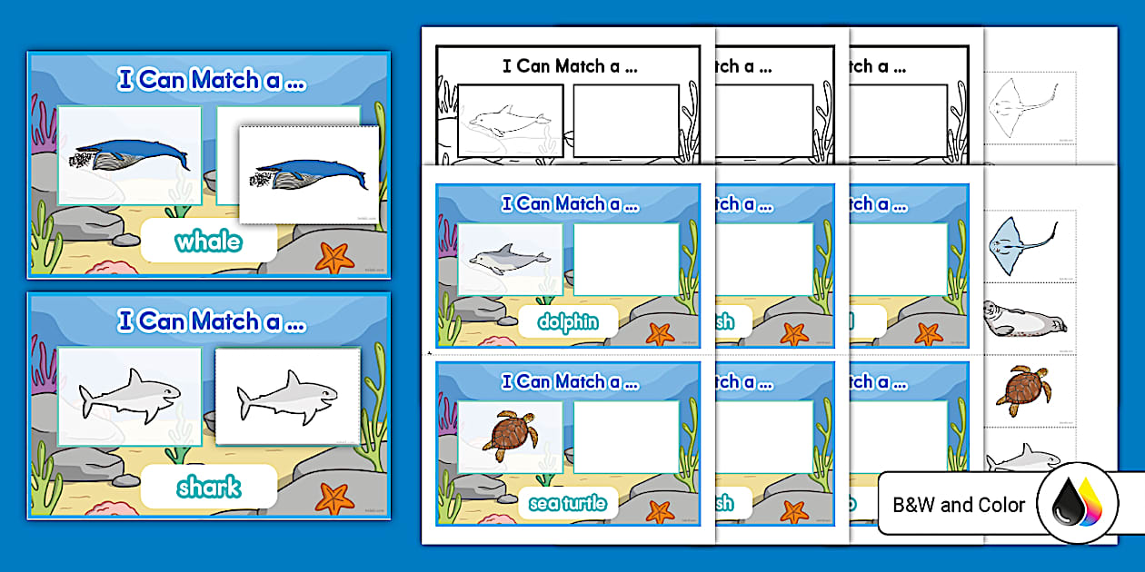 Early Childhood Ocean Animals Busy Bag Matching Worksheet