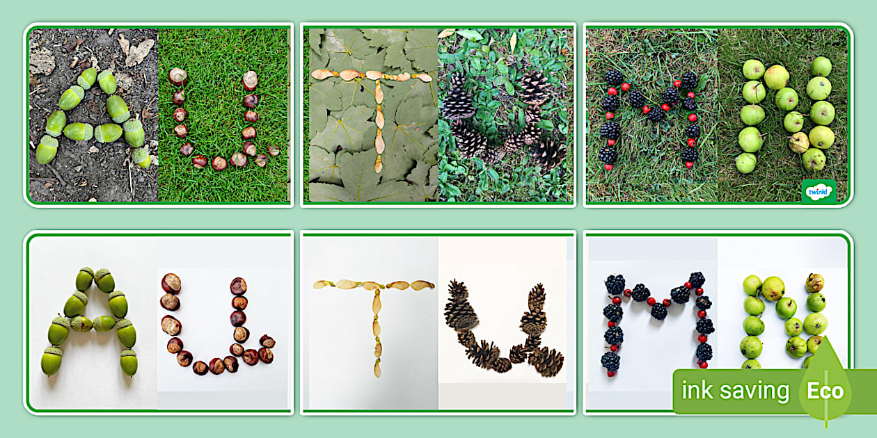 Natural Autumn Display Banner | Twinkl (professor feito)