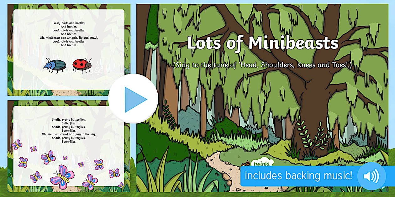 Lots of Minibeasts Song PowerPoint (teacher made) - Twinkl