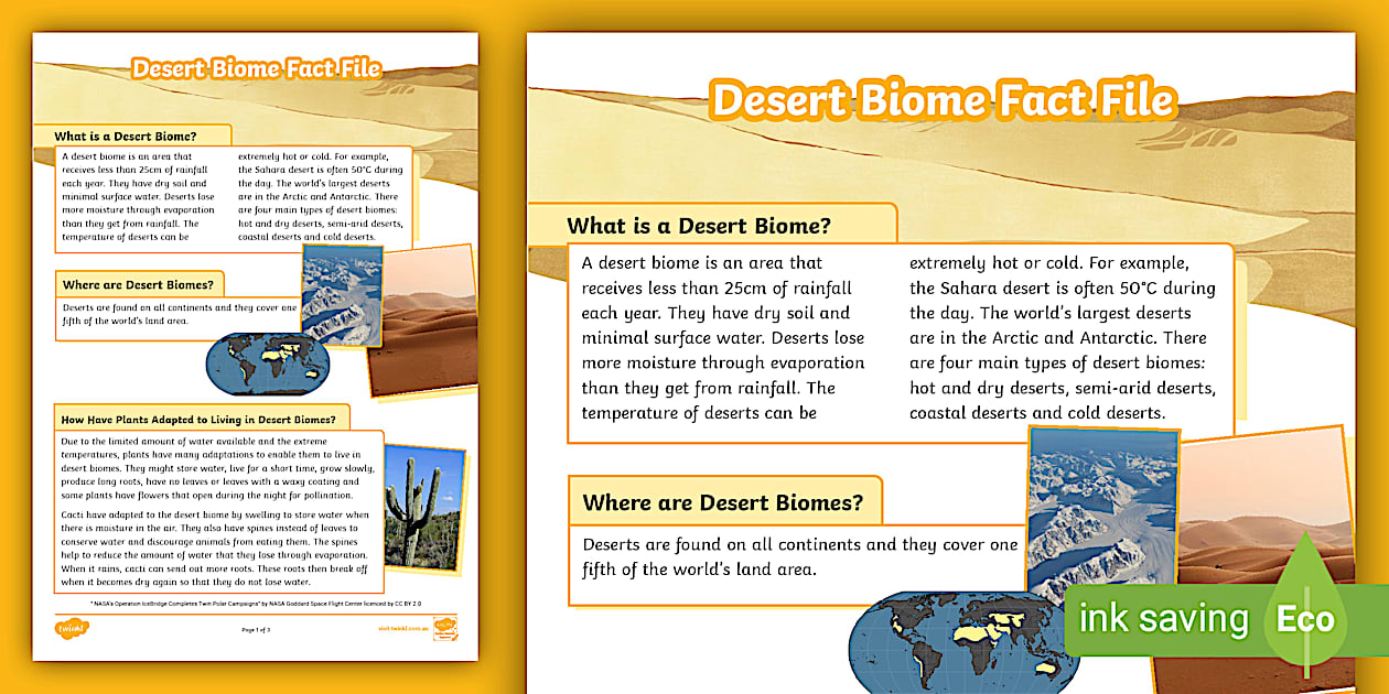 Desert Biome Fact File | Environments and Adaptations