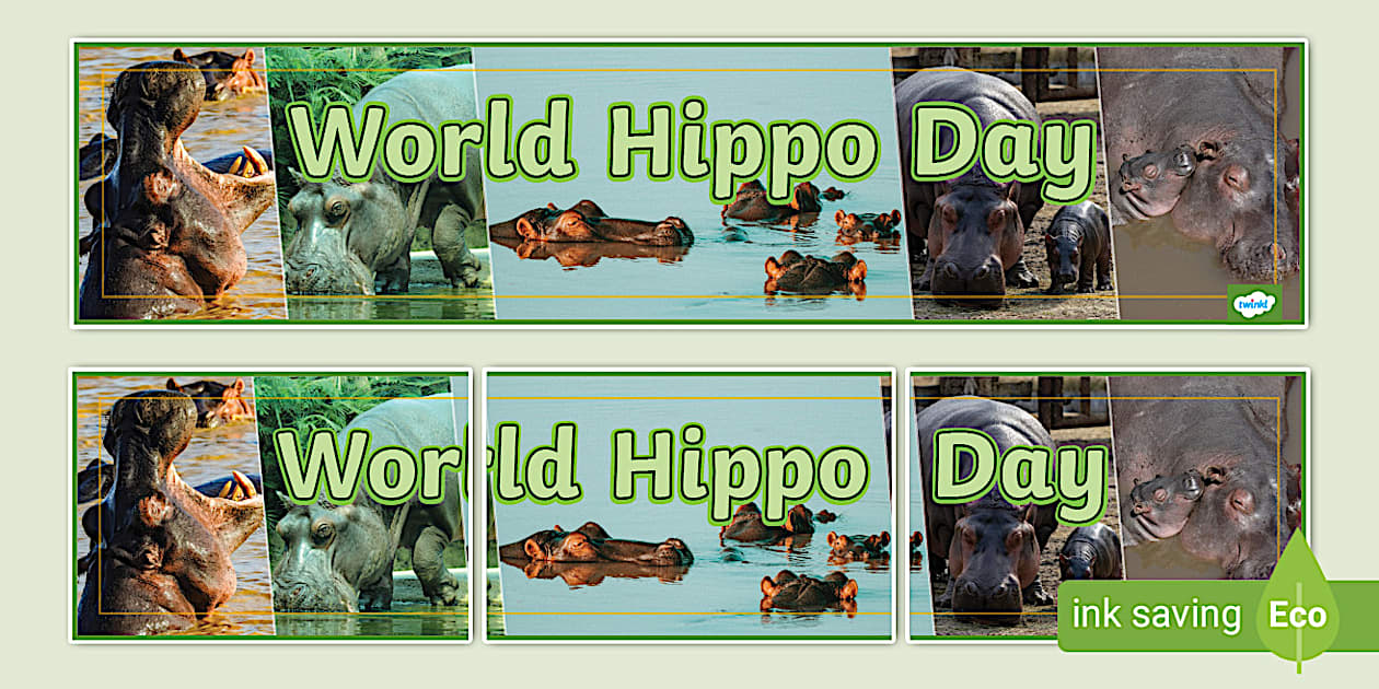 World Hippo Day Photo Display Banner (teacher made) - Twinkl