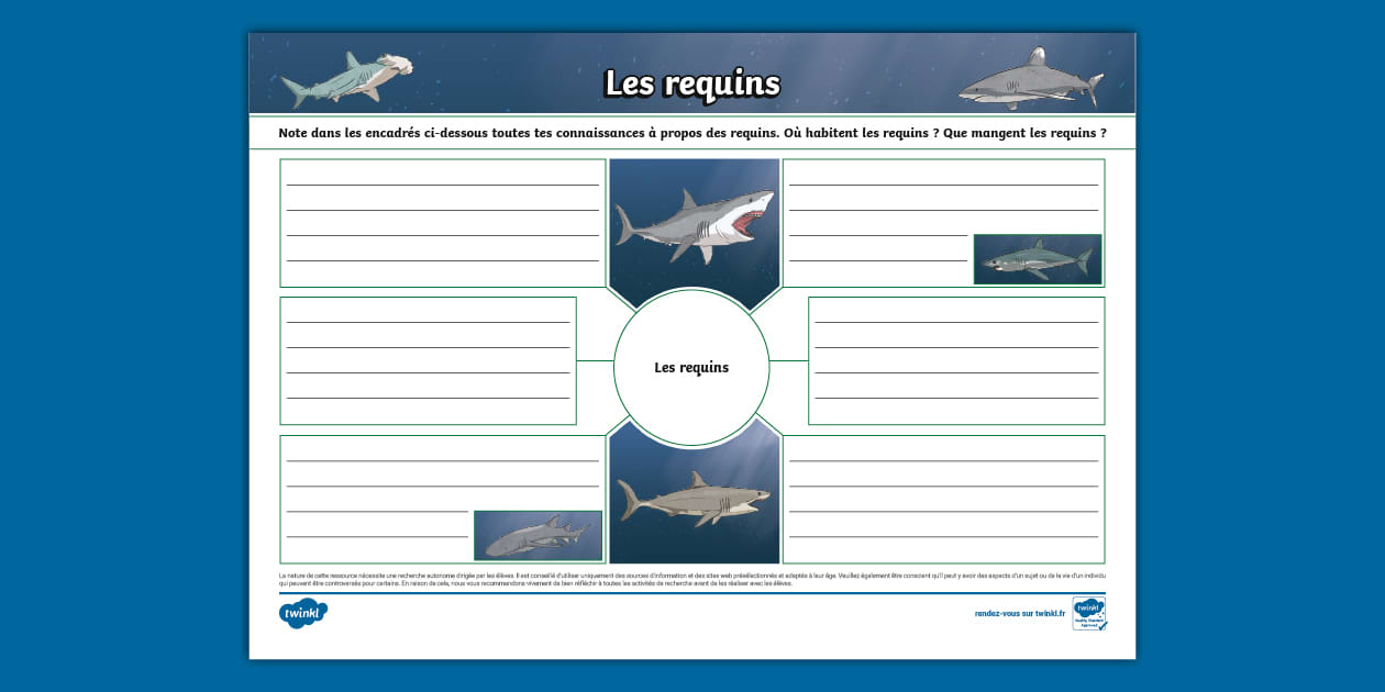 Carte mentale : Tout sur les requins (teacher made) - Twinkl