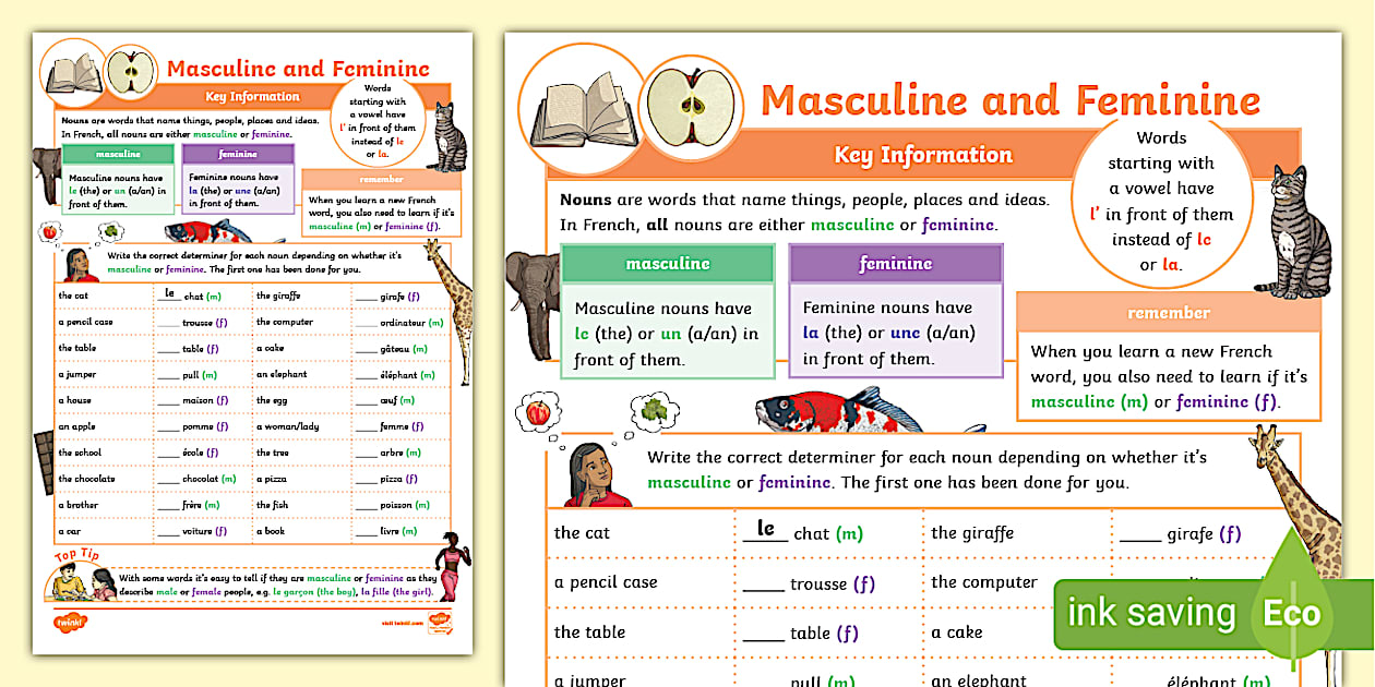 👉 French Grammar - Masculine and Feminine Worksheet