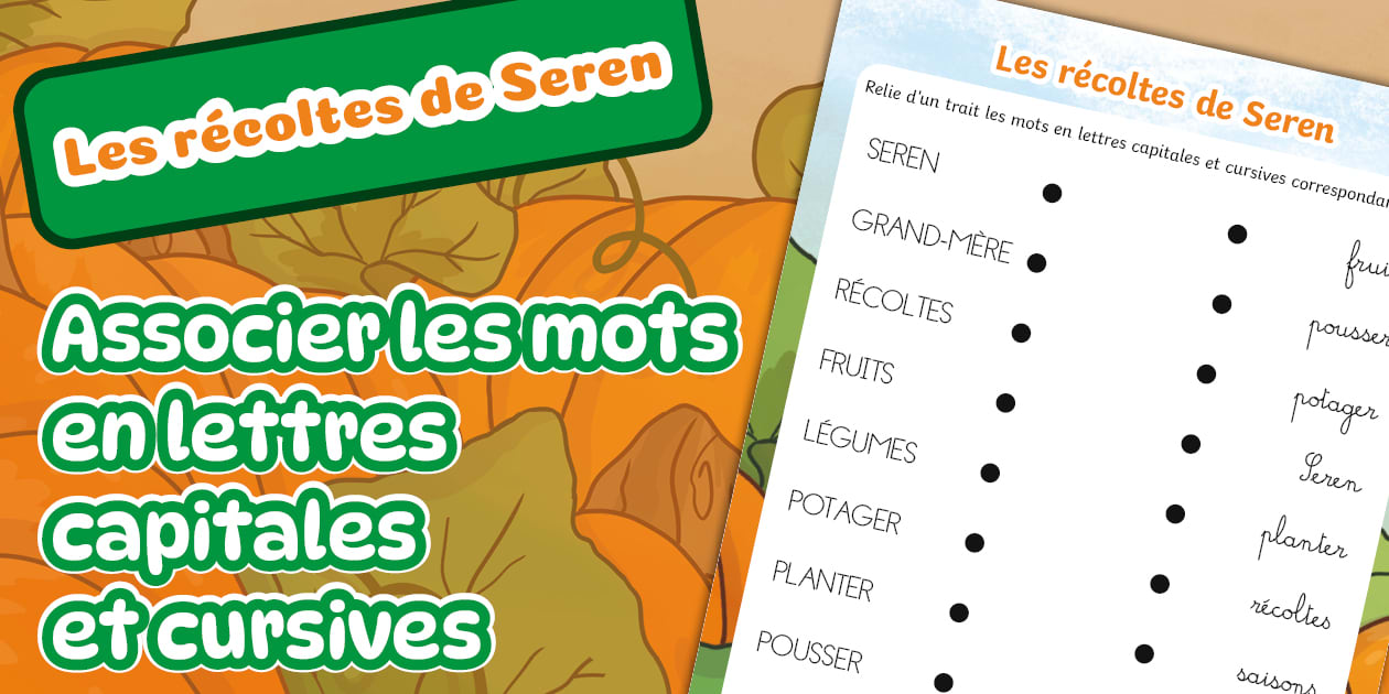 Les récoltes de Seren - Associer les mots en lettres capitales et cursives