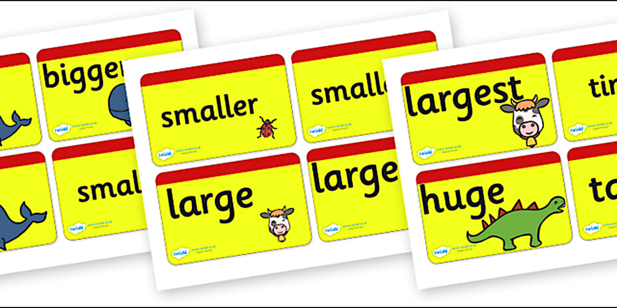 Size Word Cards for Visually Impaired (teacher made)