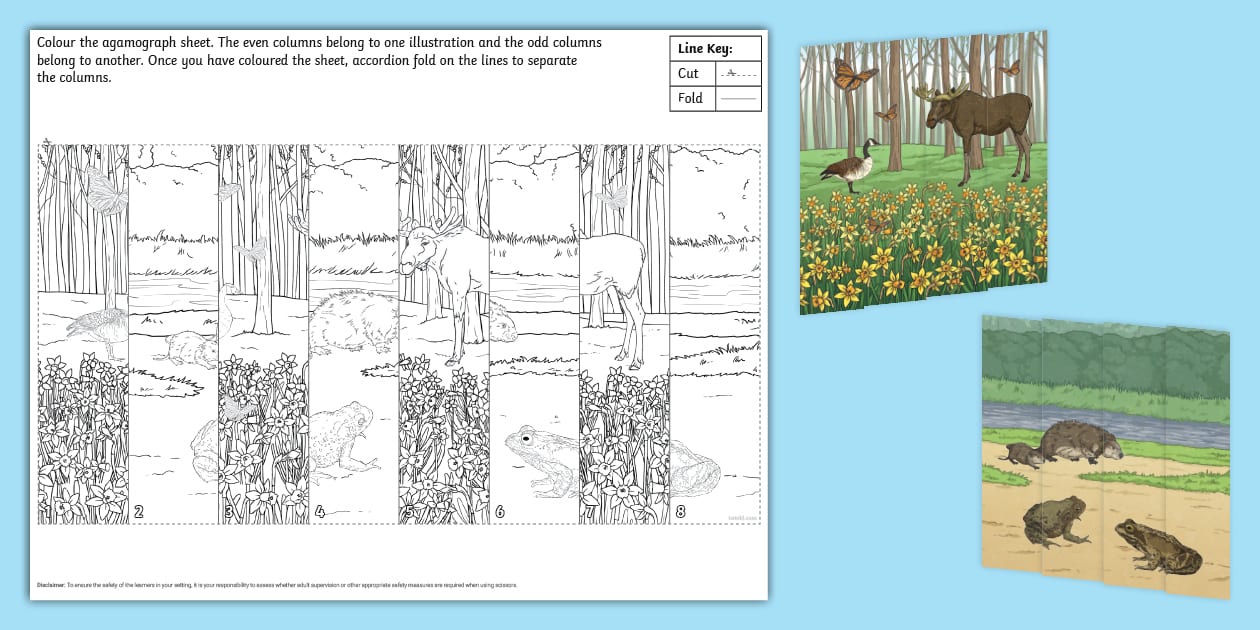 Spring Animals Agamograph (Teacher-Made) - Twinkl